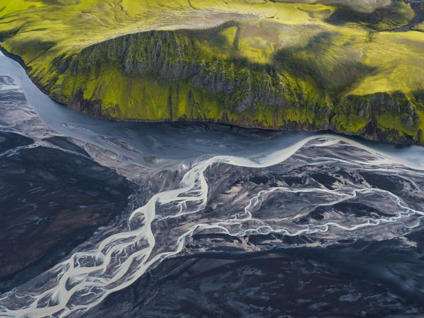 Sebastião Salgado Has Seen the Forest, Now He's Seeing the Trees | Arts ...