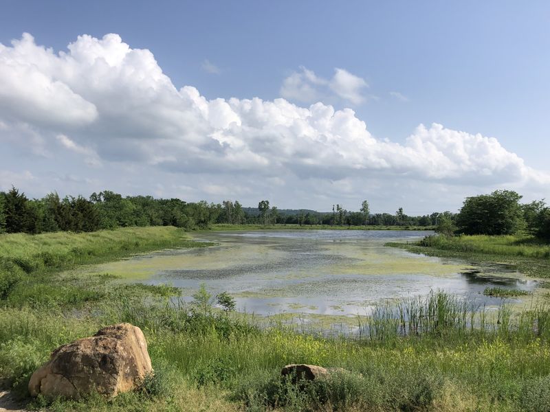 Springtime in the Kansas Wetlands | Smithsonian Photo Contest ...
