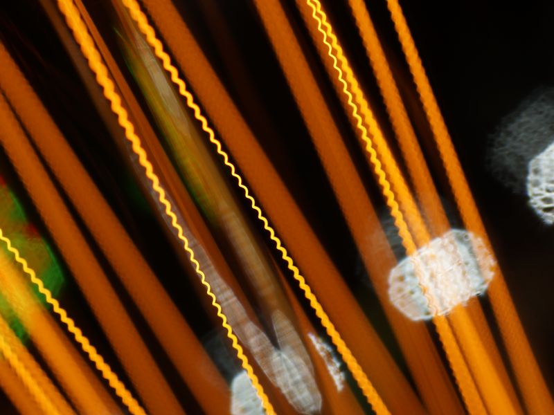 Filamental | Smithsonian Photo Contest | Smithsonian Magazine