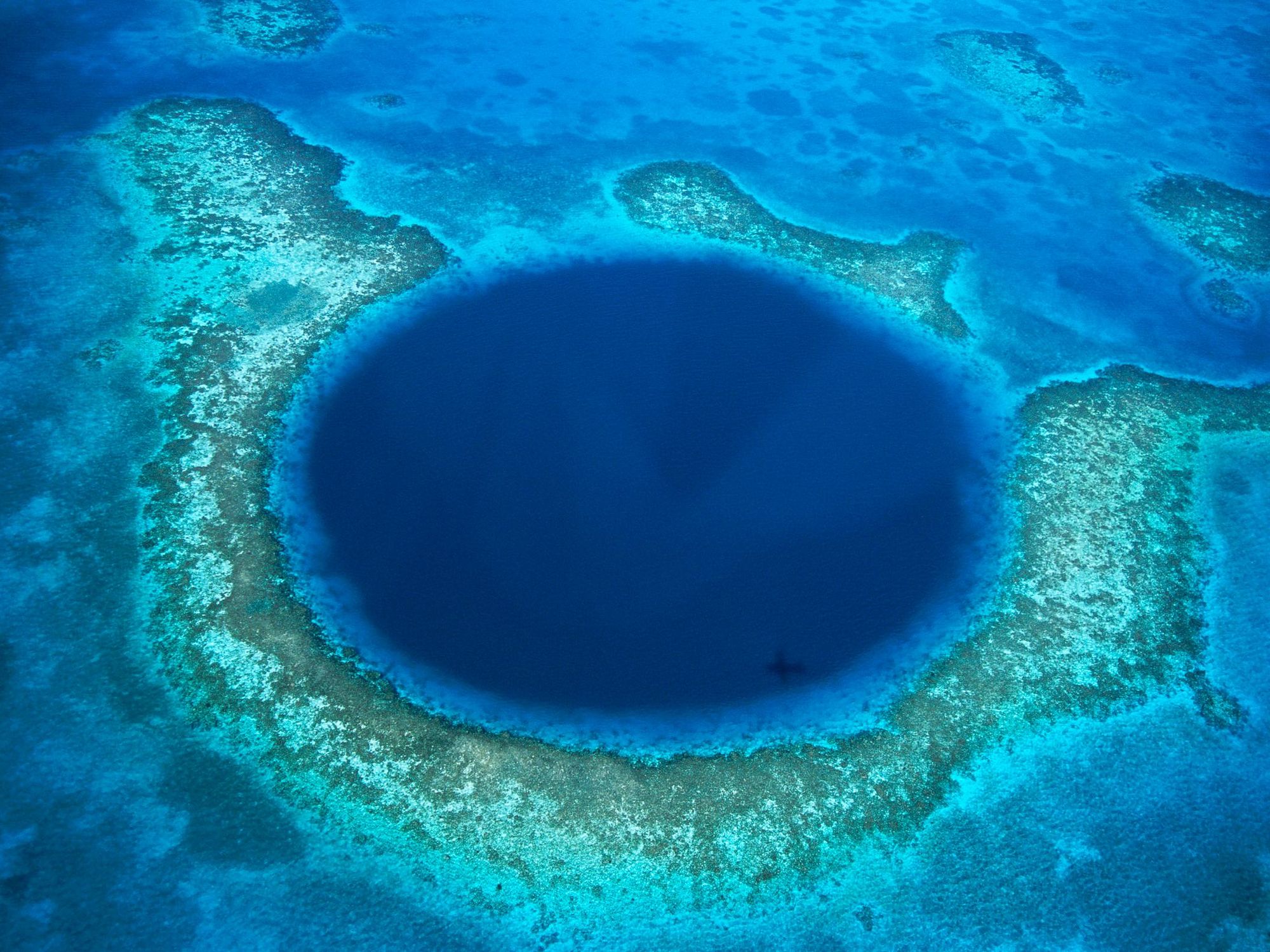 Visit a Vertical Underwater Cave in Belize
