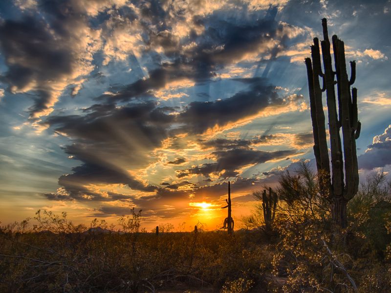 Sonoran Sunset | Smithsonian Photo Contest | Smithsonian Magazine