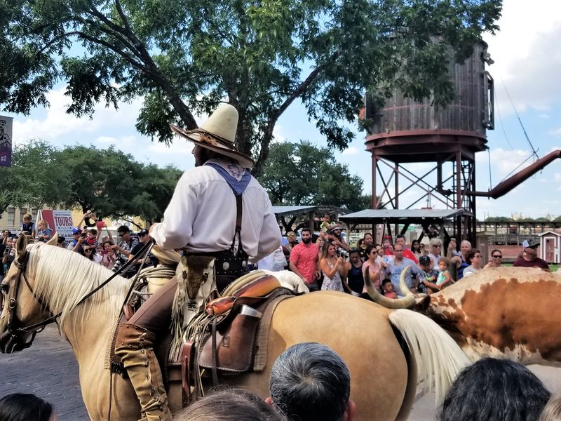 Stockyards Parade | Smithsonian Photo Contest | Smithsonian Magazine
