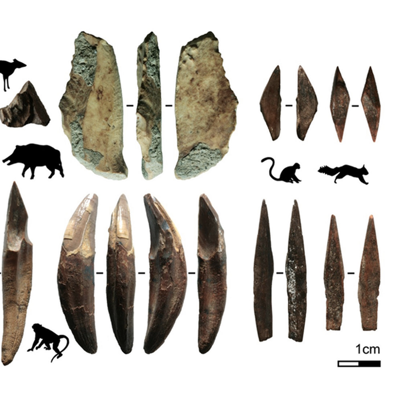 Prehistoric Bow And Arrow