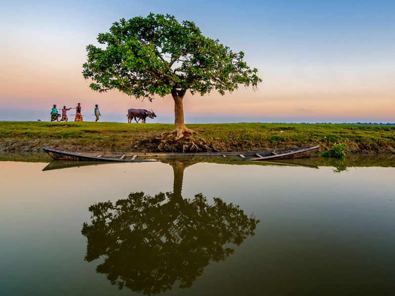 Haor Of Bangladesh | Smithsonian Photo Contest | Smithsonian Magazine