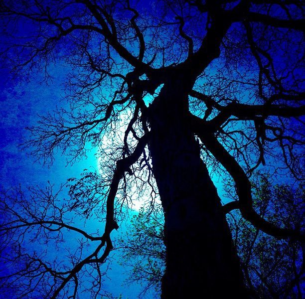 Blue Sky, White Sun | Smithsonian Photo Contest | Smithsonian Magazine