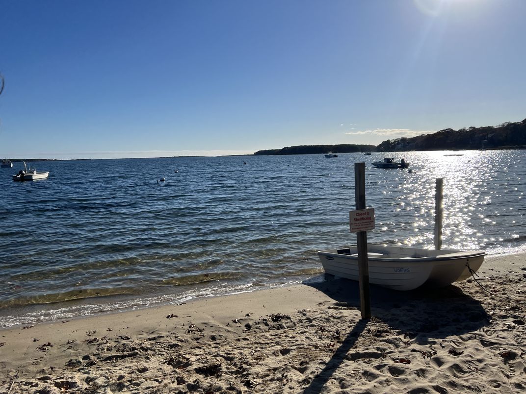 Enjoying the wonder of nature at Cape Cod | Smithsonian Photo Contest ...