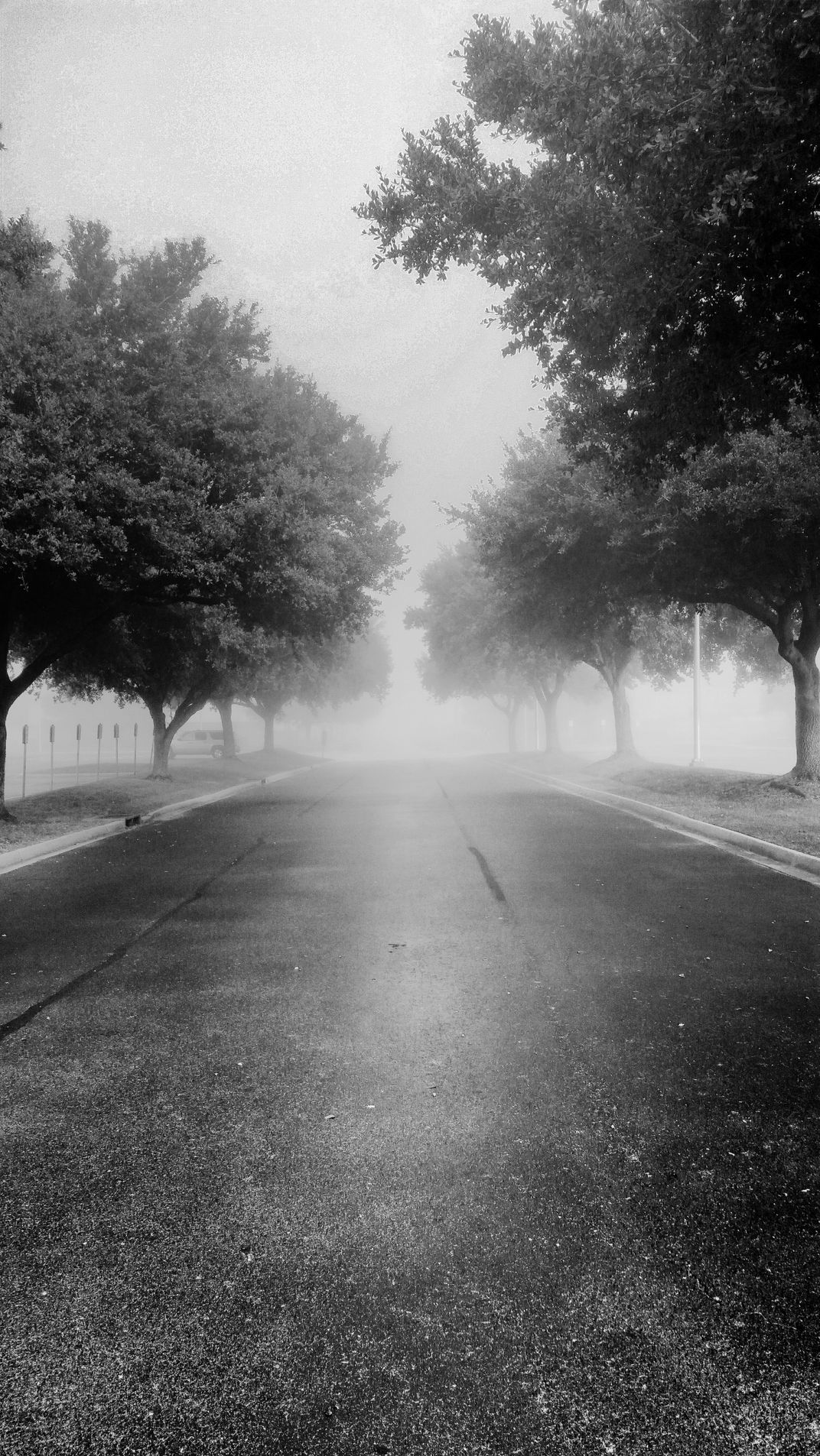 Fogged In | Smithsonian Photo Contest | Smithsonian Magazine