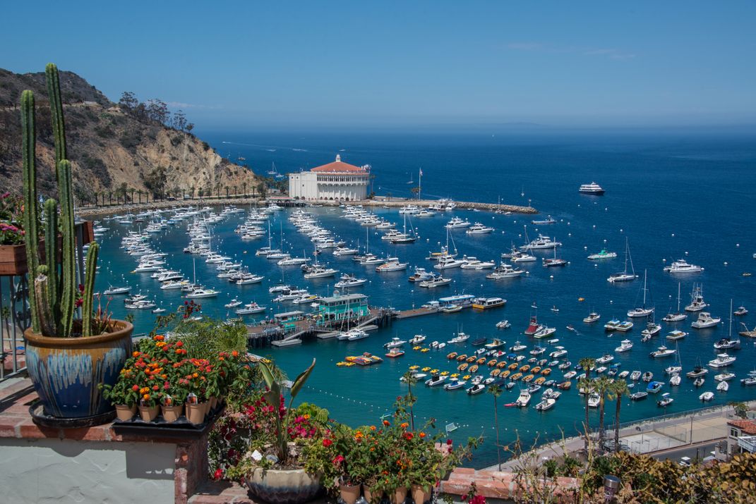 View of the harbor on Catalina Island | Smithsonian Photo Contest ...