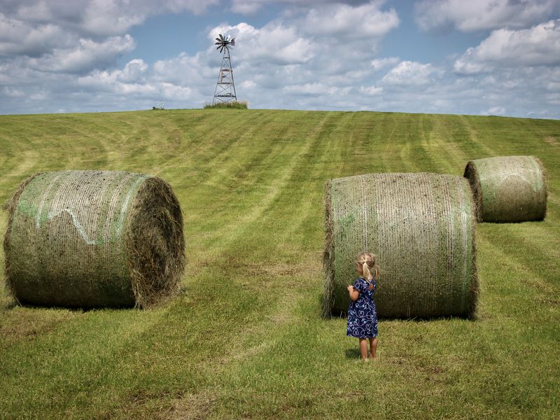Green Acres is the place to be... | Smithsonian Photo Contest ...