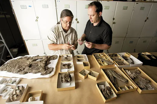 How Titanoboa, the 40-Foot-Long Snake, Was Found