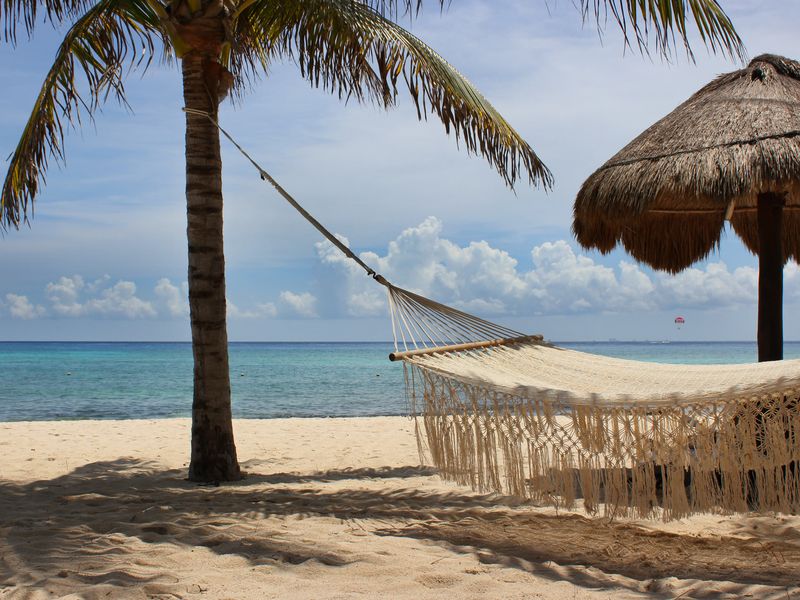 Honeymoon vacation on the beach. | Smithsonian Photo Contest ...