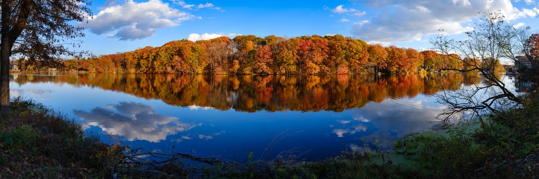 Mianus River Pond No.3 | Smithsonian Photo Contest | Smithsonian Magazine