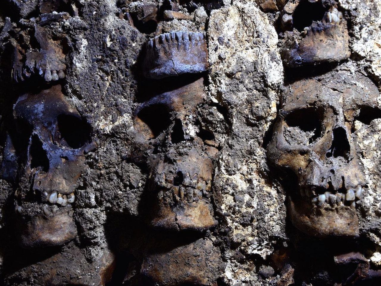 human skulls found