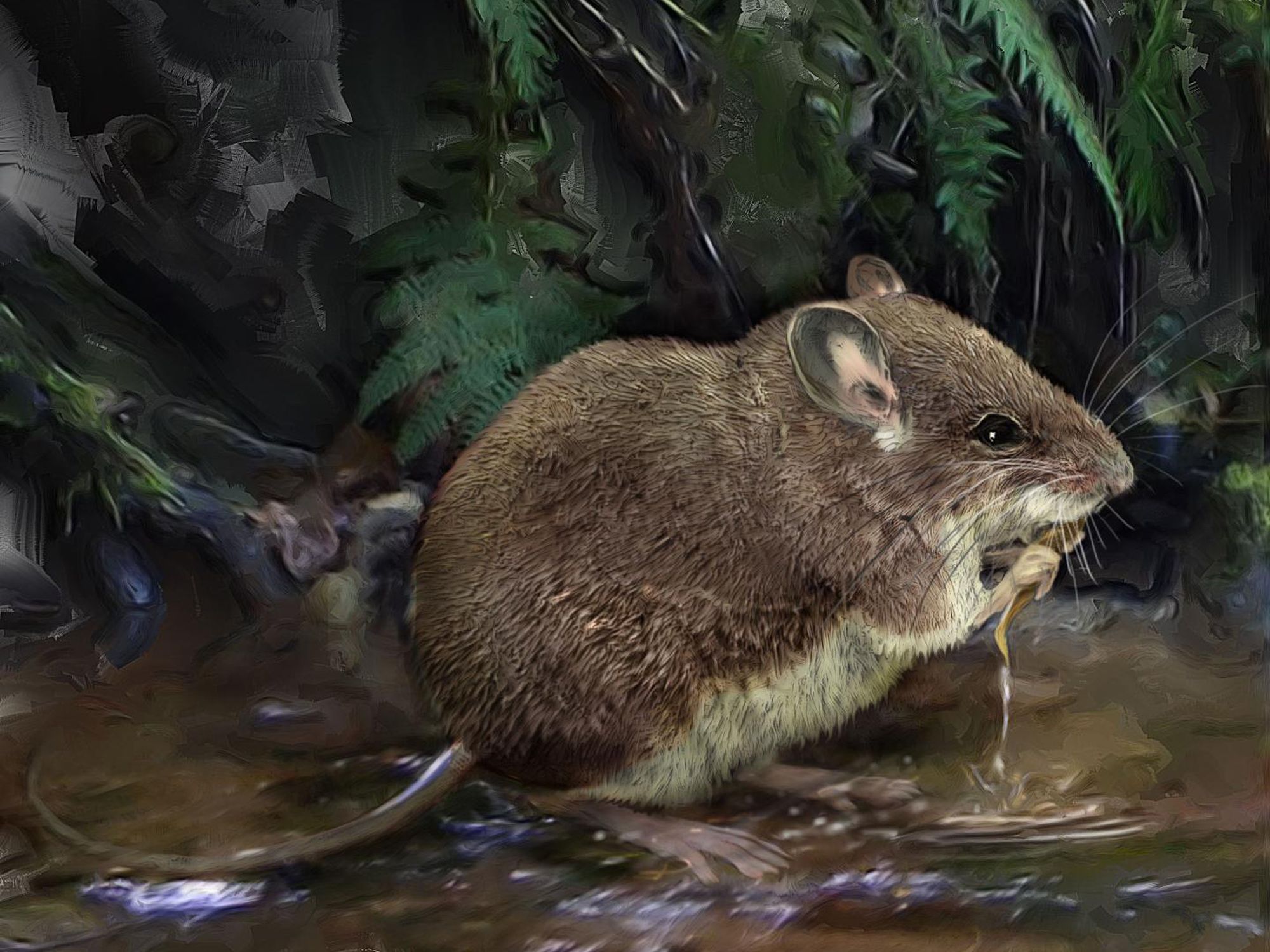 Two New Species of Semi-Aquatic Mice Identified in East African Rainforests
