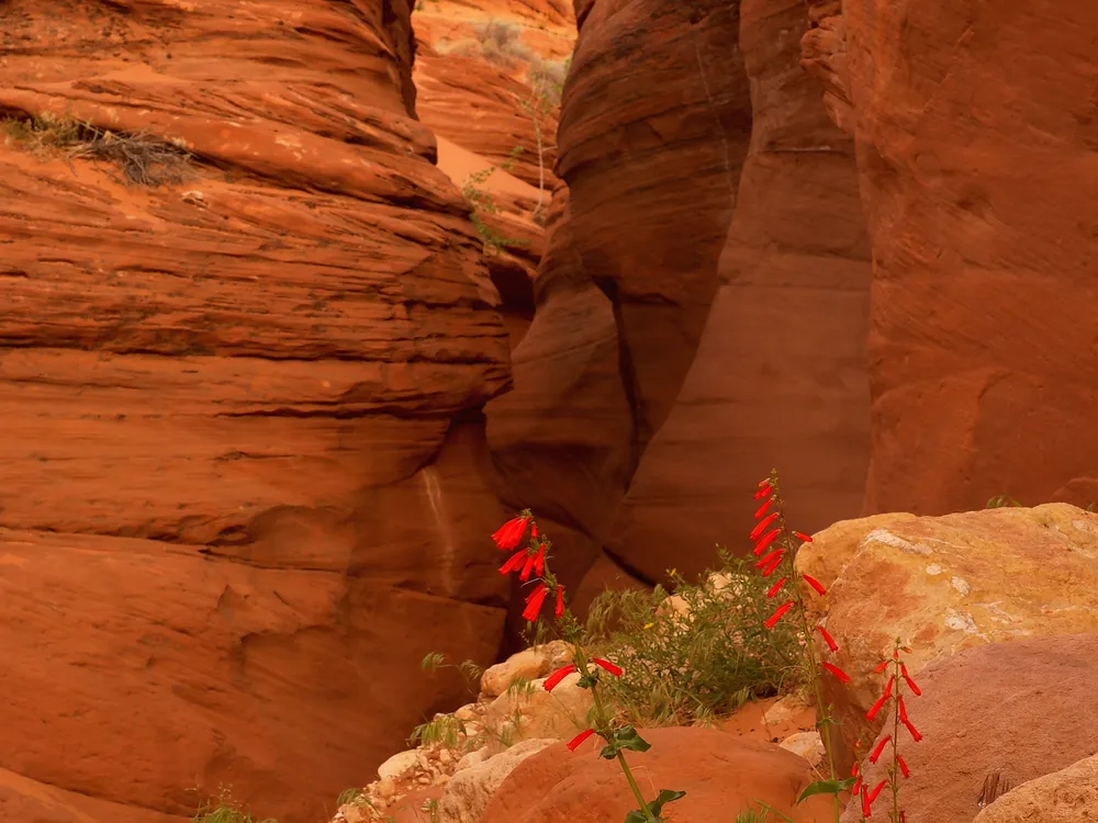 Shimmy Through the World's Most Spectacular Slot Canyons