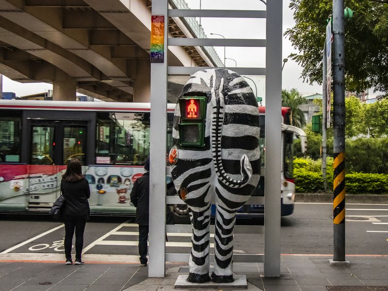 Zebra traffic light | Smithsonian Photo Contest | Smithsonian Magazine