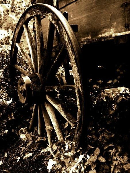 An old wagon wheel stuck in the mud. | Smithsonian Photo Contest ...