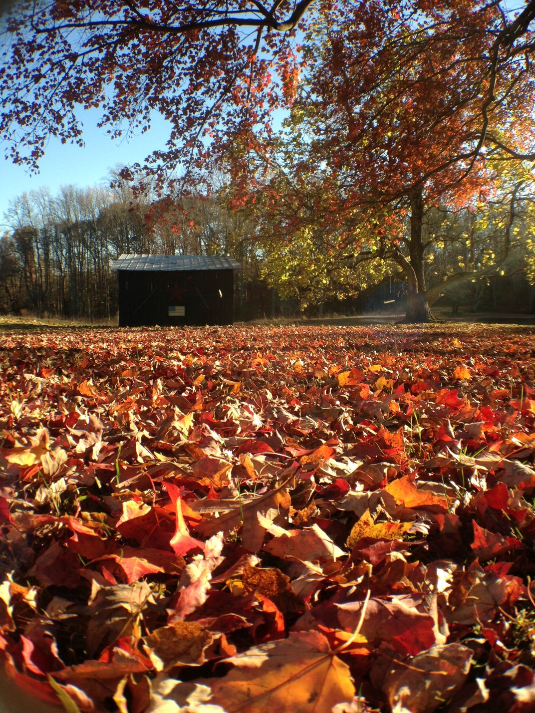 Fall in Prospect, Va. | Smithsonian Photo Contest | Smithsonian Magazine