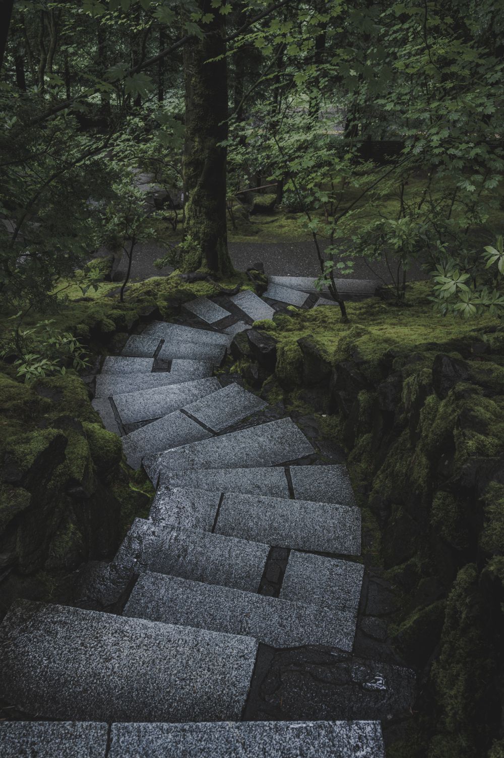 Smithsonian Magazine Daily Newsletter