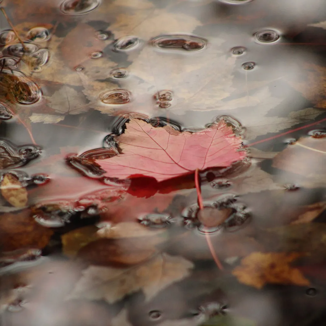 Dip the toes in | Smithsonian Photo Contest | Smithsonian Magazine