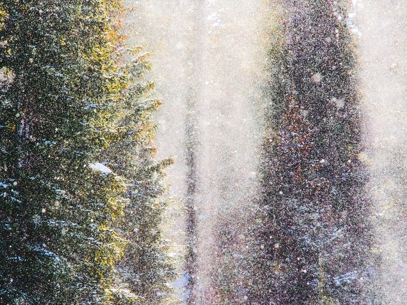 Cold Wind and Snow | Smithsonian Photo Contest | Smithsonian Magazine