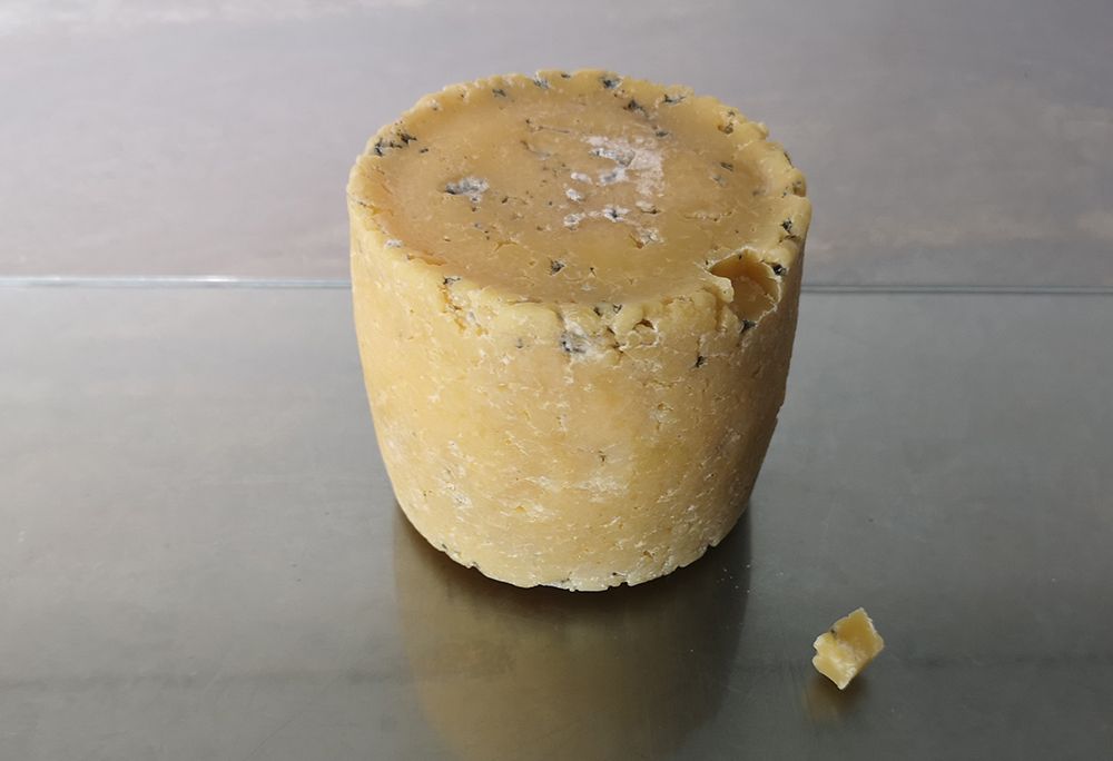 Cheese Made From Celebrity Belly Button and Armpit Bacteria Goes on Display