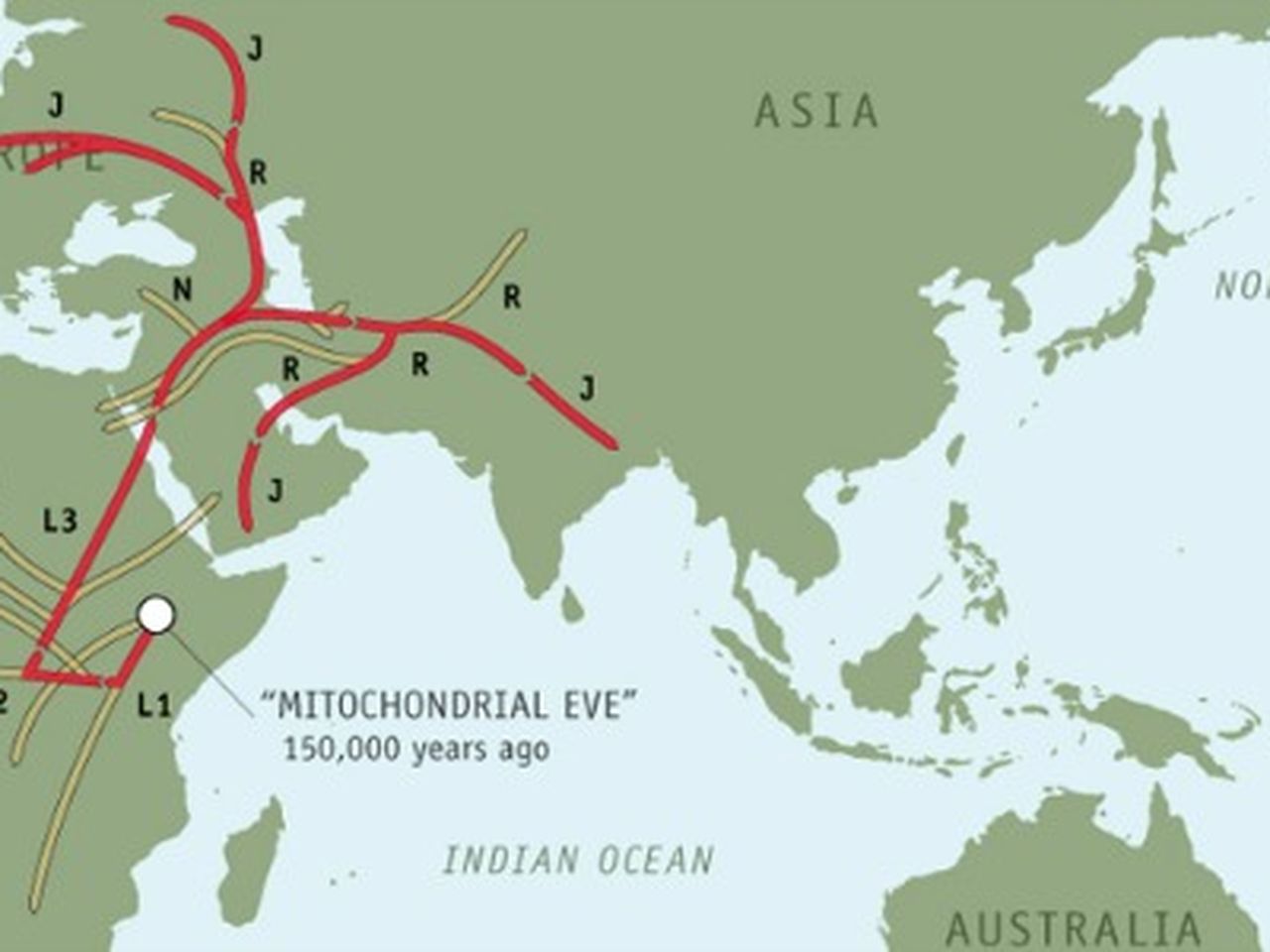 Ancient Migration Map History Of Migration In Ancient Greece
