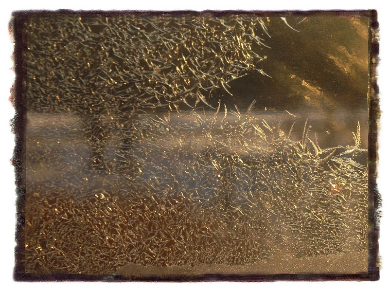 Ephemeral Landscape January 1, 2018 | Smithsonian Photo Contest ...