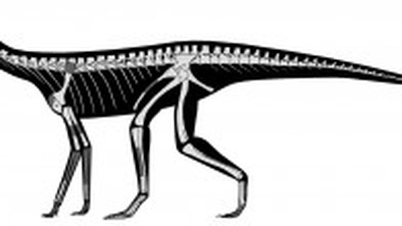 Asilisaurus Waxing Paleontological: Slightly More Hopeful Dinosaurs
