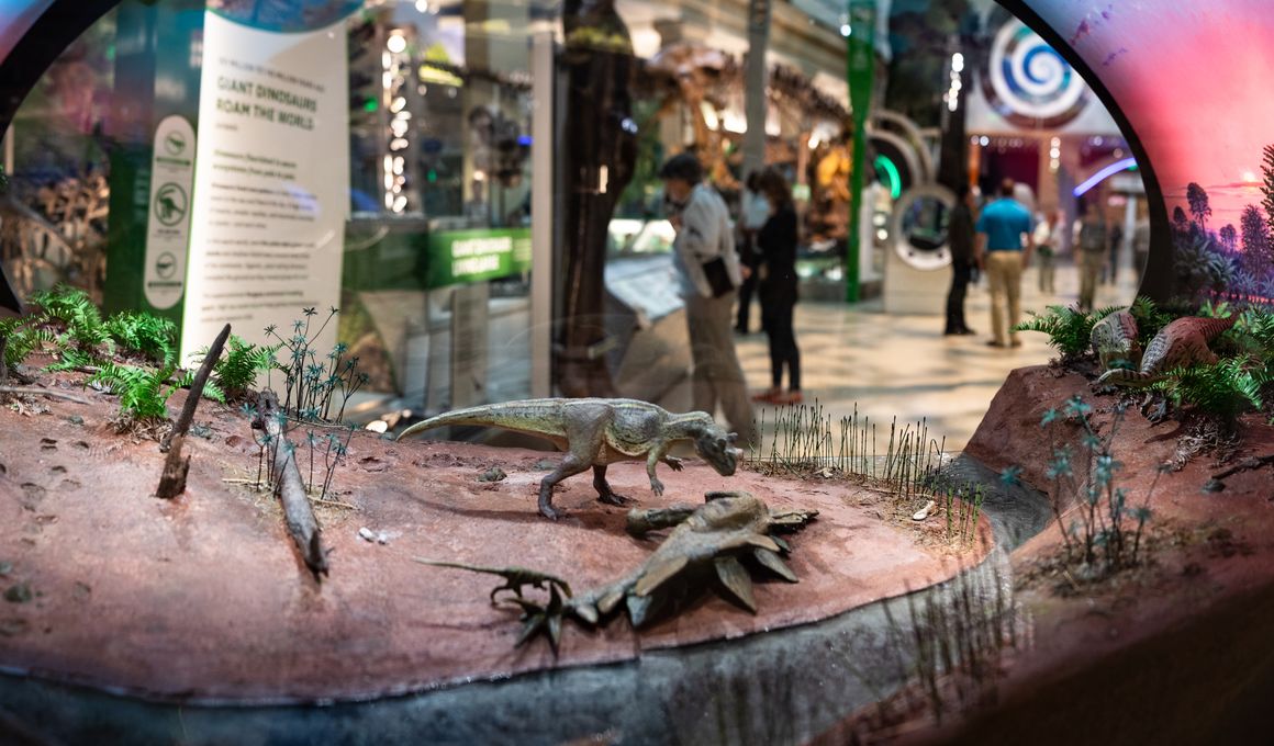 National Museum of Natural History Blog | Smithsonian Magazine