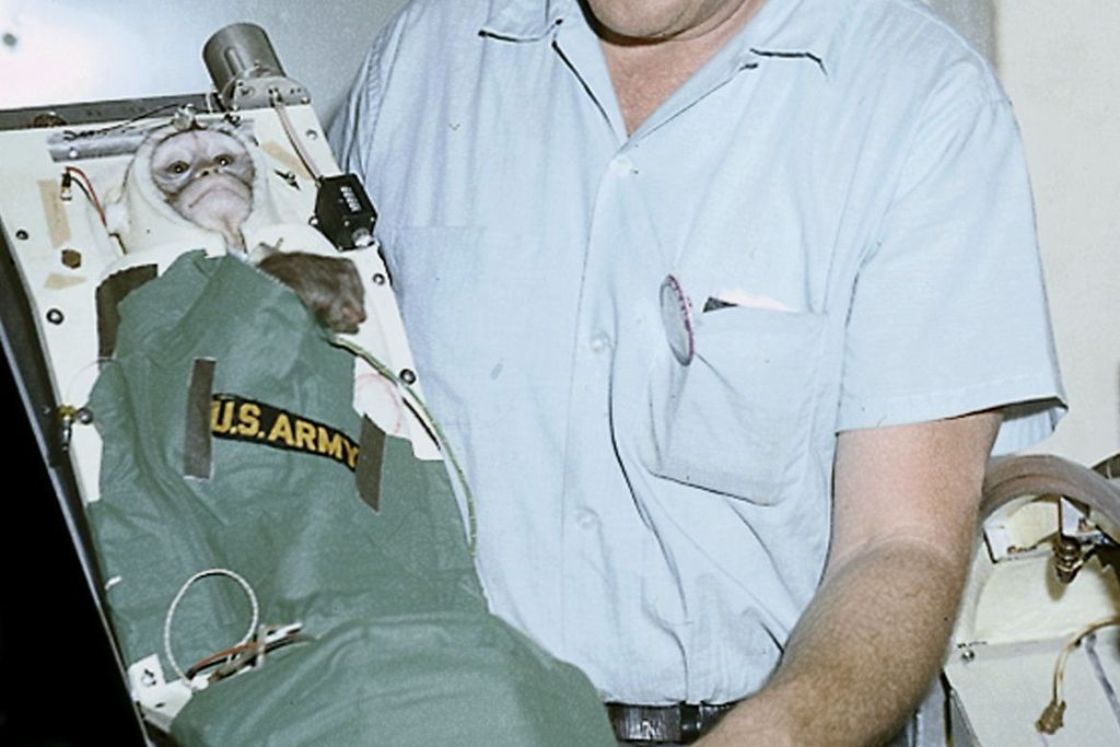 Space Monkey Able Celebrates Flight's 50th Anniversary