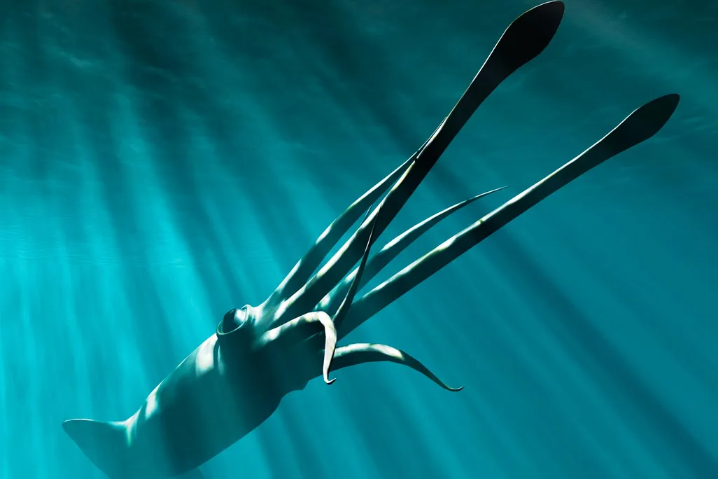 underwater squid