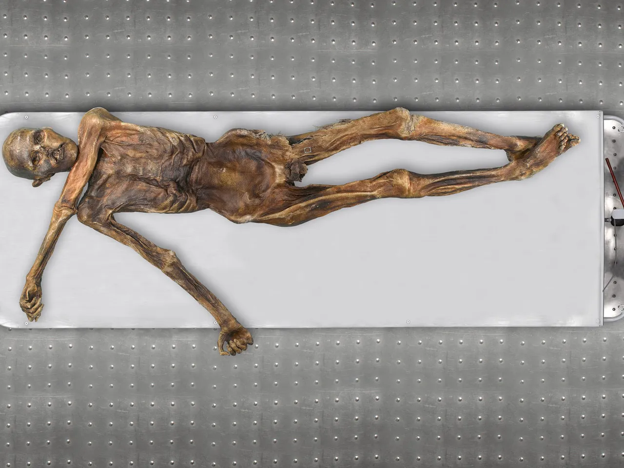 otzi mummy