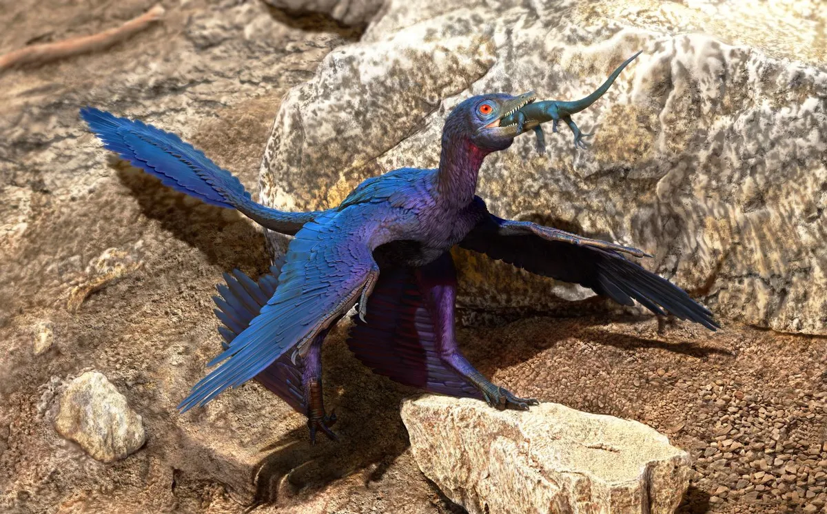 How Small Birds Evolved From Giant Meat Eating Dinosaurs