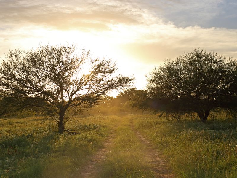 Sunset in the Texas Hill Country | Smithsonian Photo Contest ...