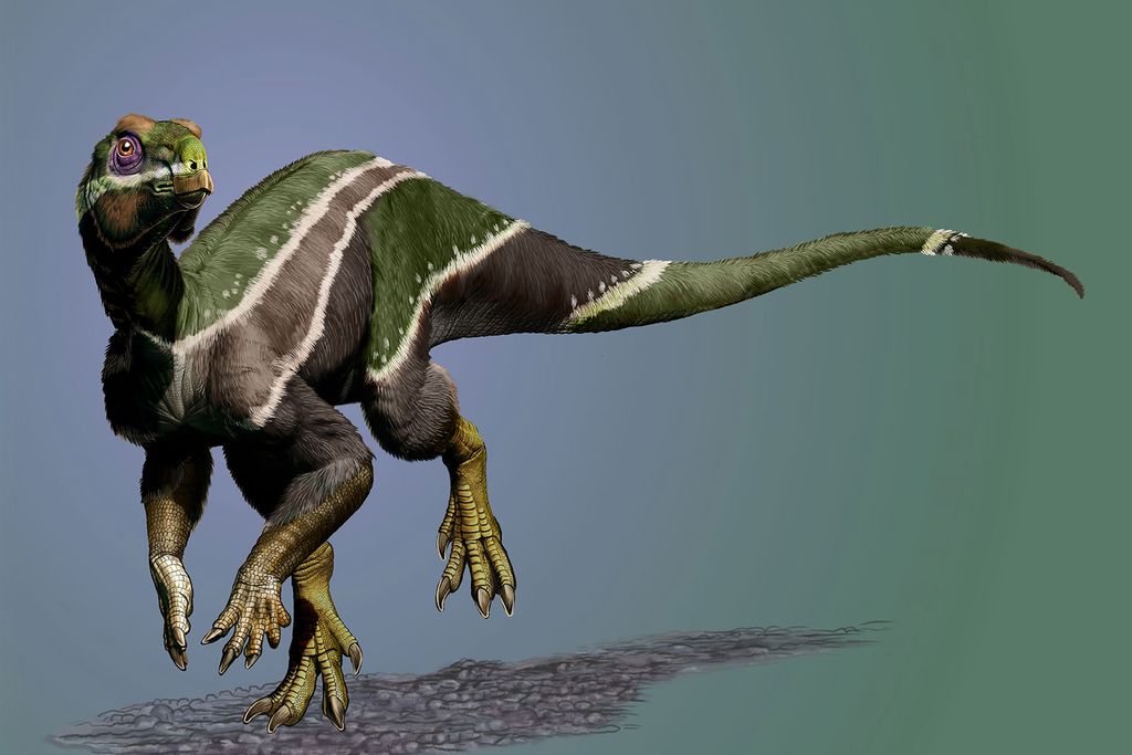 Dinosaur Tog Fabrosaurus