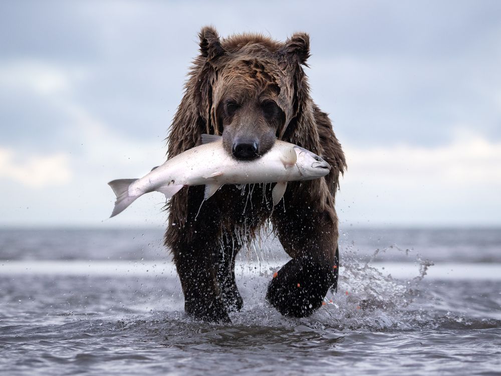 Fresh Fish | Smithsonian Photo Contest | Smithsonian Magazine