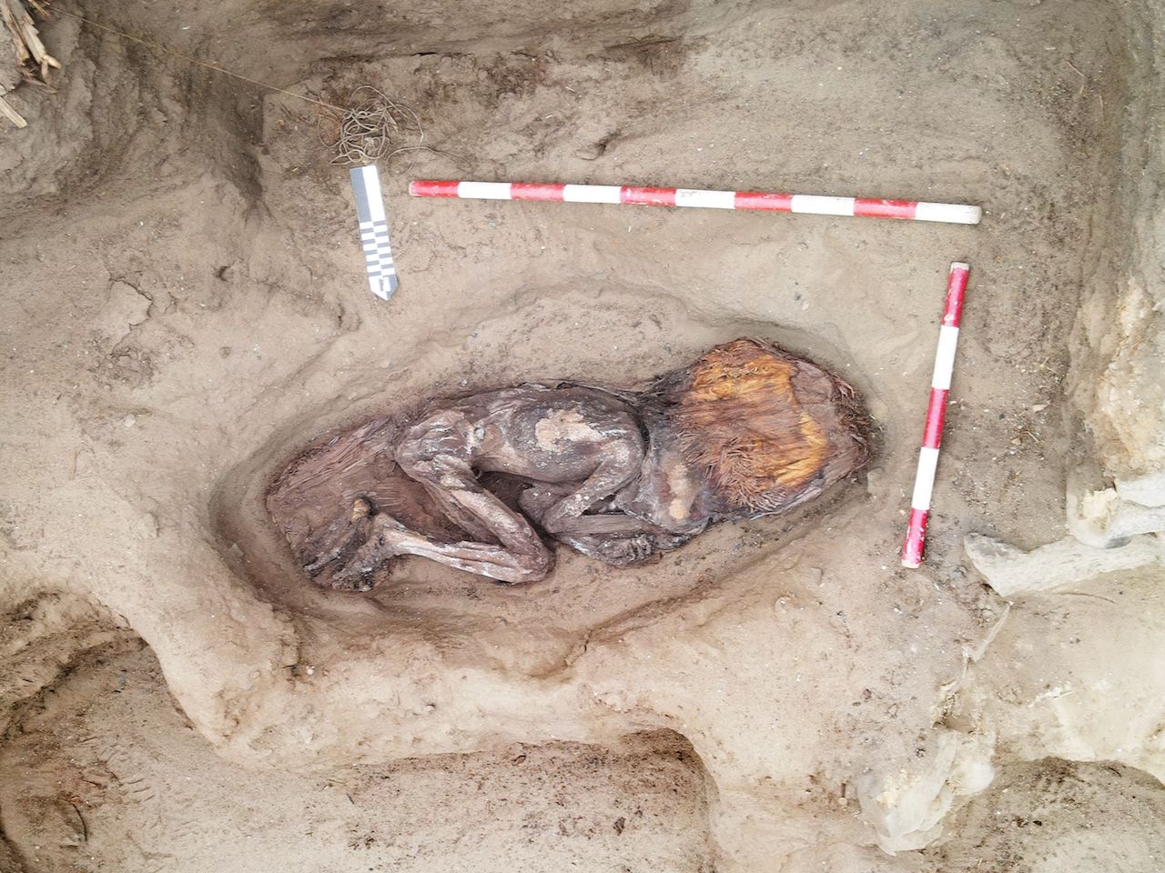 This Ancient High-Status Woman Was Buried With a Parrot-Feather Cape ...