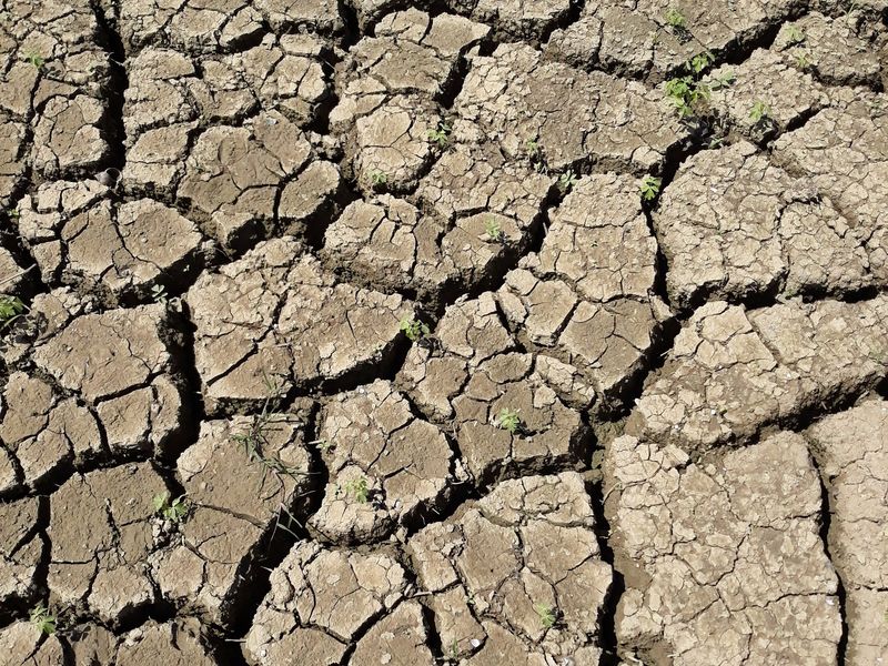 Dry Land | Smithsonian Photo Contest | Smithsonian Magazine