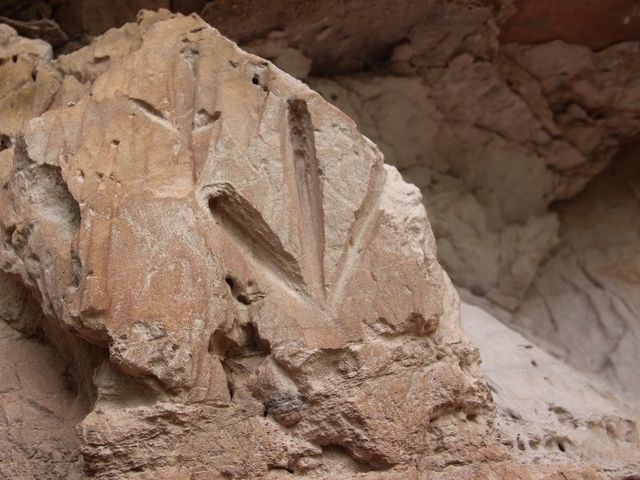 Archaeologists Discover 2,000-Year-Old Rock Art in Brazil | Smithsonian