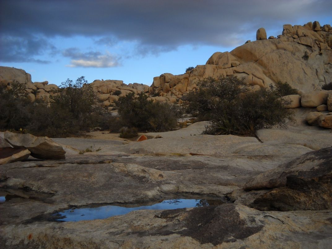 Puddle and rocks | Smithsonian Photo Contest | Smithsonian Magazine