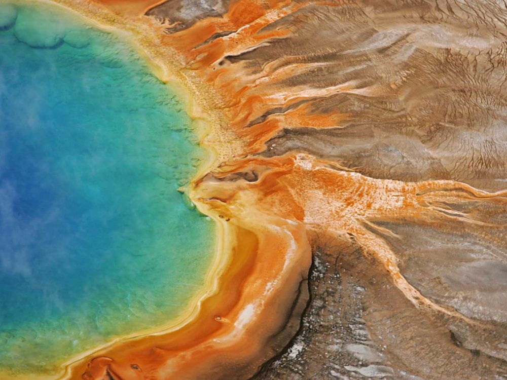 Five Big Changes Scientists Have Documented During Yellowstone National ...