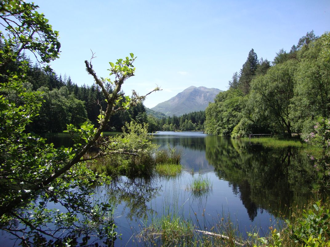 A sunny day by a loch in Scotland. | Smithsonian Photo Contest ...