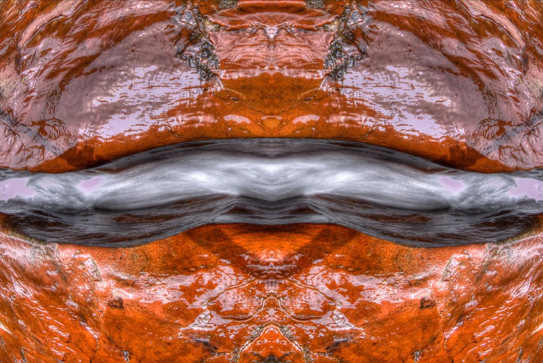 Frog with Mustache | Smithsonian Photo Contest | Smithsonian Magazine