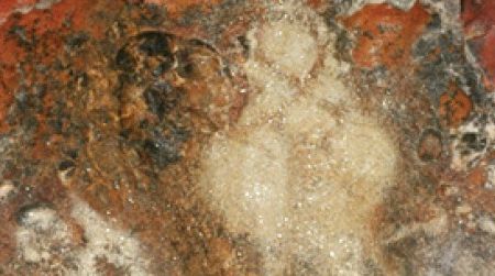 Science & Nature News and Features | Smithsonian Magazine