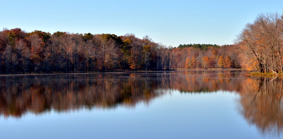 Fading Colors Of Autumn | Smithsonian Photo Contest | Smithsonian Magazine