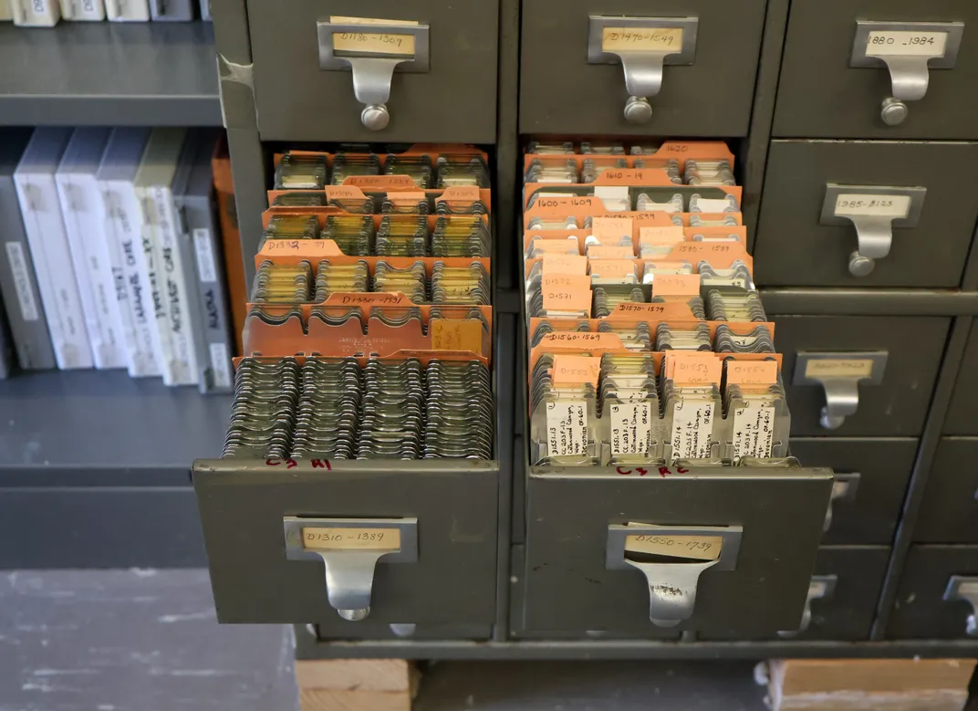 Meet the Scientist Digitizing Millions of Fossilized Pollen Grains to ...