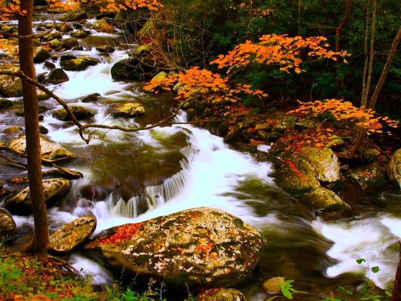 A waterfall at Tremont in the Great Smoky Mountains National park TN ...