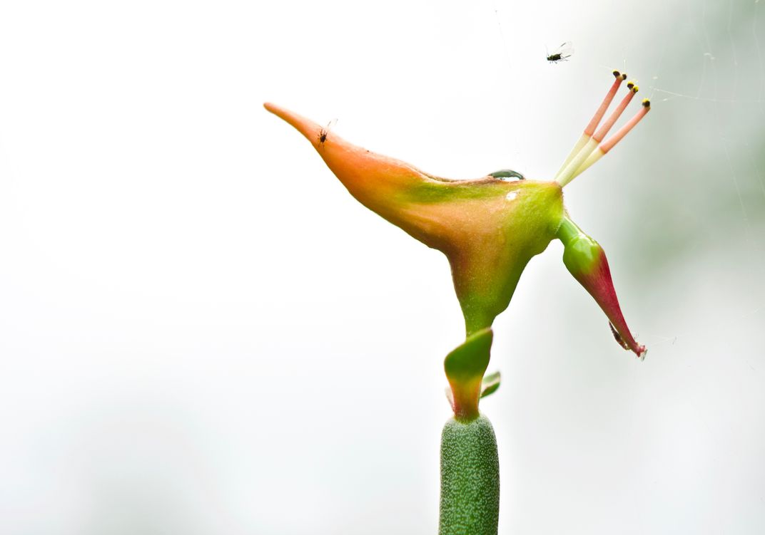 Side Kick | Smithsonian Photo Contest | Smithsonian Magazine