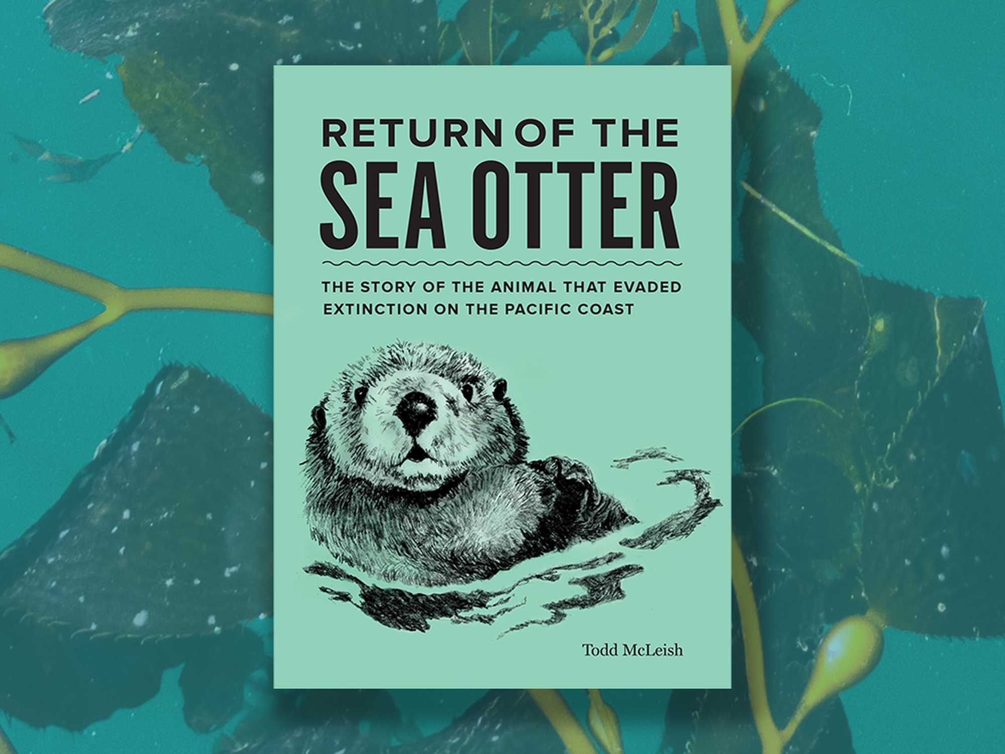 Return of the Sea Otter: Earth Optimism Book of the Month | Smithsonian ...